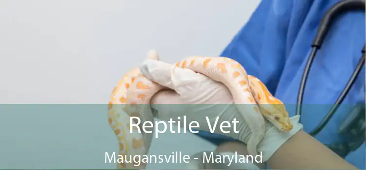 Reptile Vet Maugansville - 24 Hour Reptile Vet Near Me